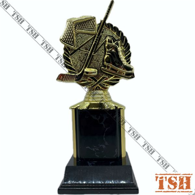 Hockey Trophy - Trophées St-Hyacinthe enr. Boutique en ligne et magasin.